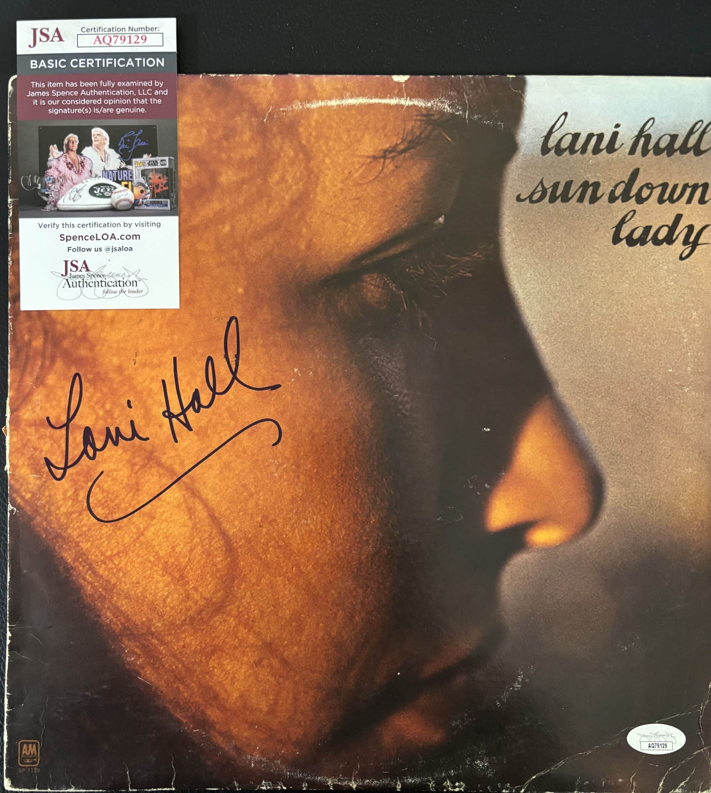 Lani Hall- Sun Down Lady Vinyl LP (Autographed) - RockStock Store